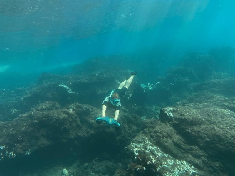 Scooter fun snorcel tour in turtle area - What Is the Scooter Fun Snorcel Tour?