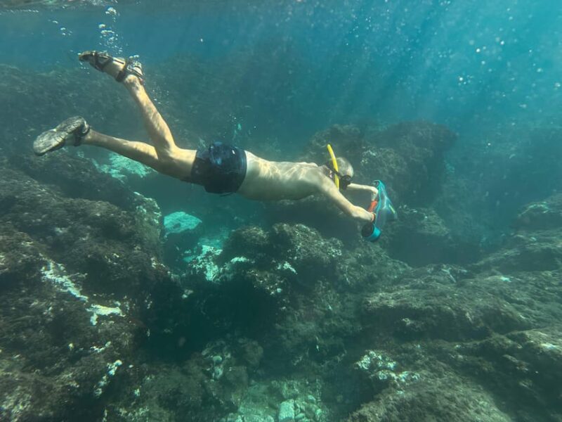 Scooter fun snorcel tour in turtle area - Final Thoughts: Is This Tour Worth It?