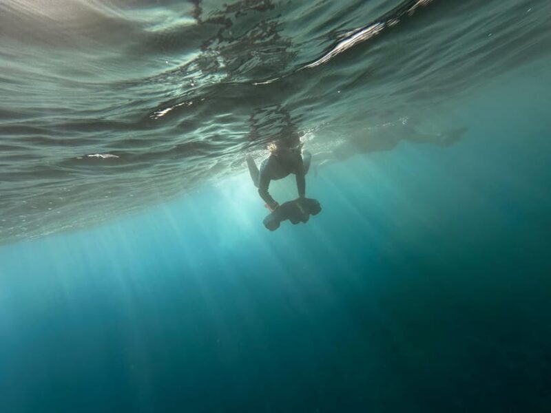 Scooter fun snorcel tour in turtle area - FAQs