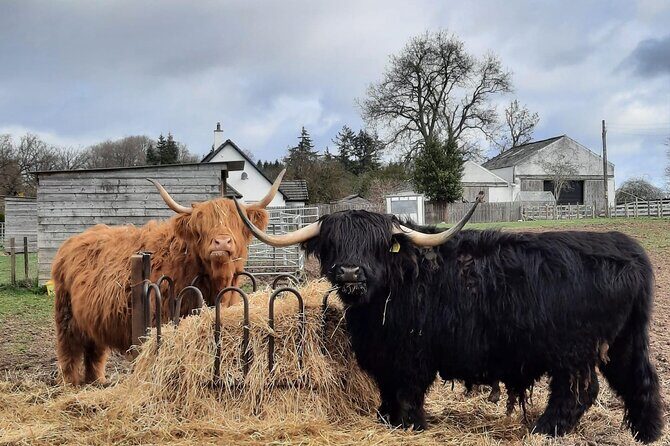 Scottish Whisky Distillery & Fairytale Dunrobin Castle - The Practicalities: What to Expect