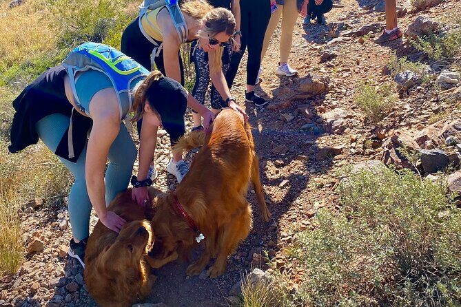 Scottsdale Bachelorette Party Guided Hike - Who Should Consider This Experience?