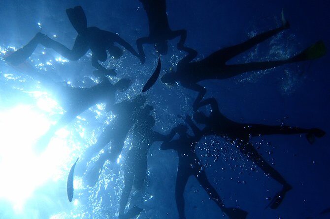 Scuba Adventure  2 Guided Dives from Our Boat in Tenerife - An Overview of the Experience