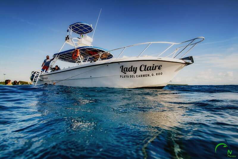 Scuba Dive in Playa del Carmen - 2 Dives (Certified divers) - The Sum Up: Is This Dive Tour Worth It?