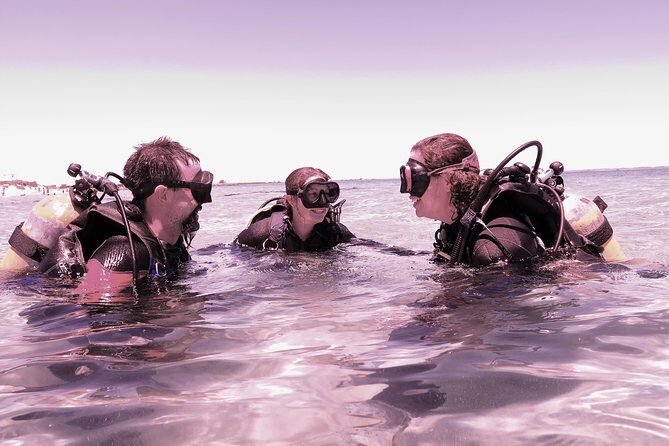Scuba Dive The Beautiful Rottnest Island for Certified divers - An Overview of the Rottnest Island Dive Experience