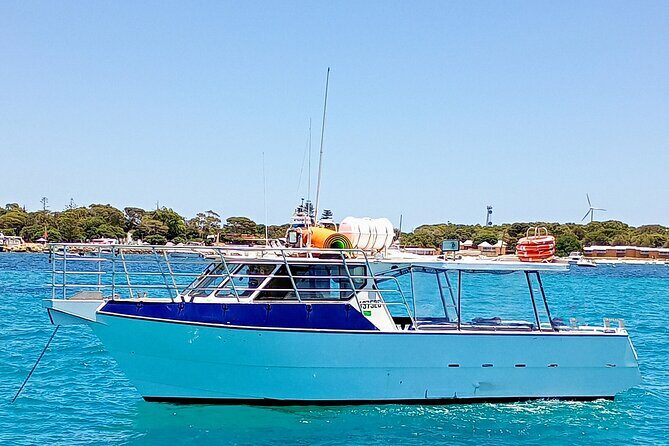 Scuba Dive The Beautiful Rottnest Island for Certified divers - Authentic Experiences from Reviewers