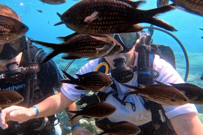 Scuba Diving Adventure at Green Bay Beach - Practical Details