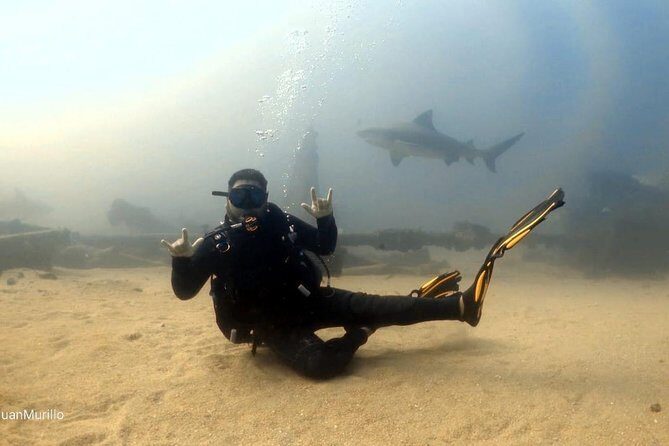 Scuba Diving adventure Cabo pulmo - The Sum Up: Who Will Love This Cabo Pulmo Scuba Tour?