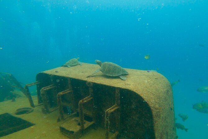 Scuba Diving Adventure in La Paz - Key Points: