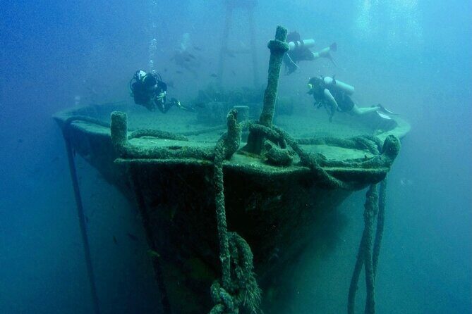 Scuba Diving Adventure in La Paz - FAQs