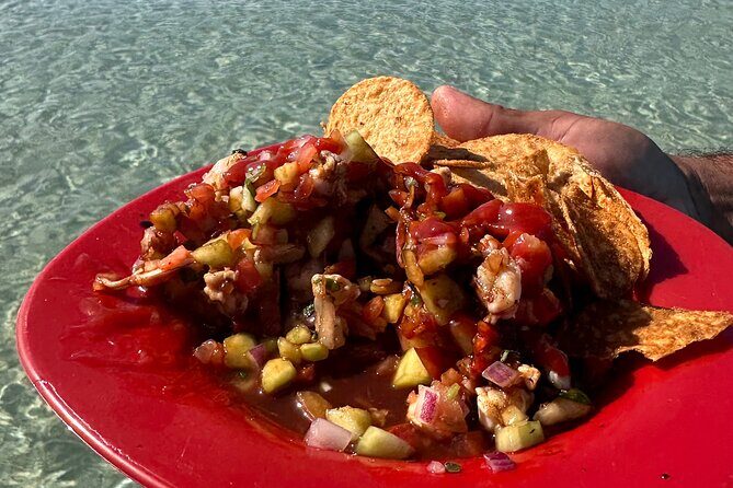 Scuba Diving Adventure in La Paz - Final Thoughts