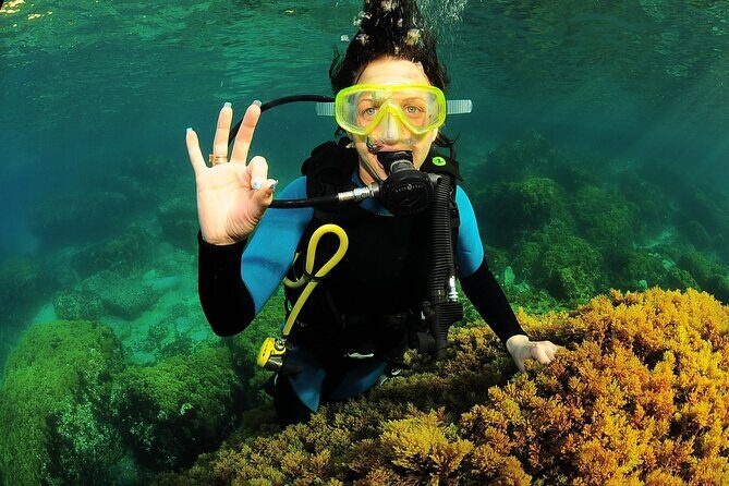 Scuba Diving Baptism and Snorkeling in Ibiza - FAQs