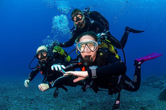 Scuba Diving Baptism Experience in Santa Cruz Tenerife - What To Expect from the Tenerife Scuba Baptism
