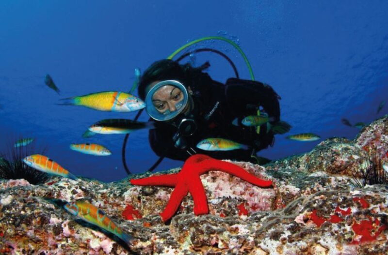 Scuba Diving Baptism in Caleta de Fuste - The Basics of the Experience