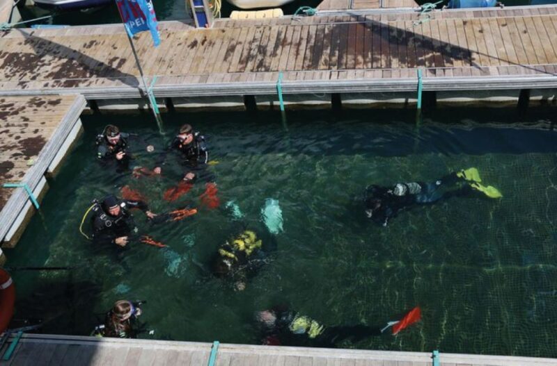Scuba Diving Baptism in Caleta de Fuste - Who Will Enjoy This?
