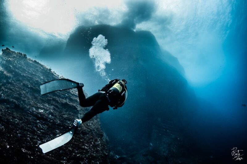 Scuba Diving Baptism in La Restinga - The Sum Up