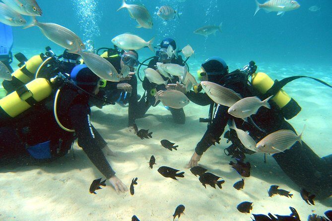 Scuba Diving (Basic Diver - 2 dives) - Introduction