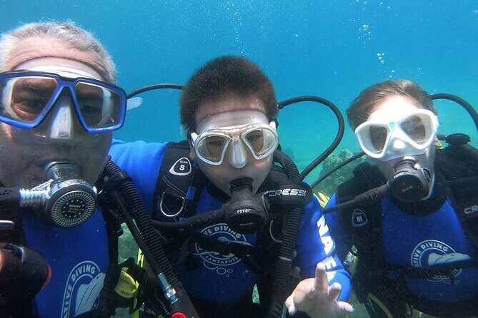 Scuba Diving (Basic Diver - 2 dives) - The Value of this Tour