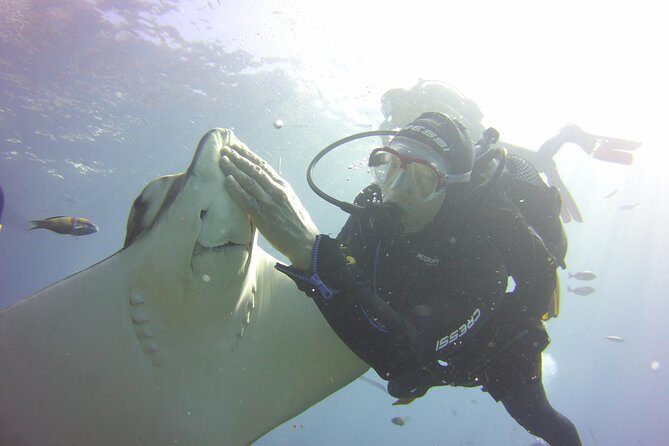 Scuba Diving Beginner's Session in Costa Adeje - Why Reviewers Love This Experience