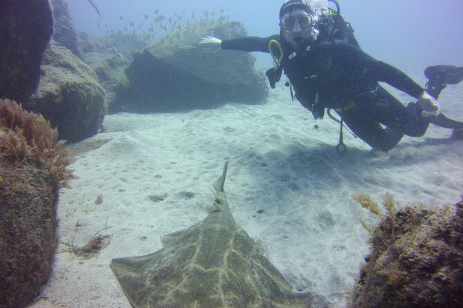 Scuba Diving Beginner's Session in Costa Adeje - Is This Tour Right for You?