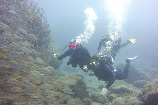 Scuba Diving Beginner's Session in Costa Adeje - The Sum Up
