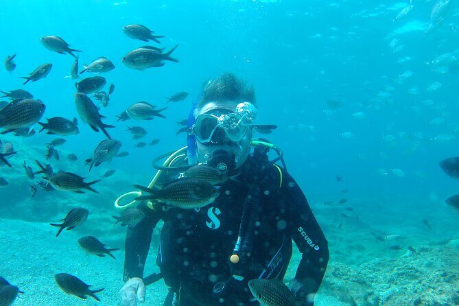 Scuba Diving Cyprus Experience Protaras and Ayia Napa & Turtles - Who Is This Tour Best For?