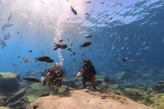 Scuba Diving Experience (10+ Years) AND Free Edited Video - Who Should Book This Tour?