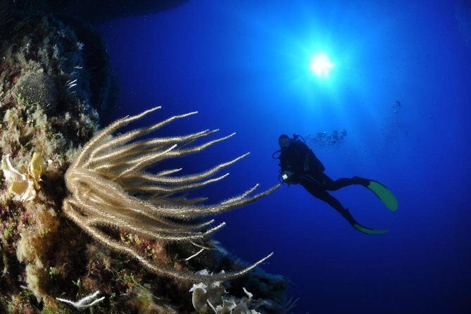 Scuba Diving Experience - Exploring Sicily’s Underwater World: A Closer Look at the Scuba Diving Experience in Catania