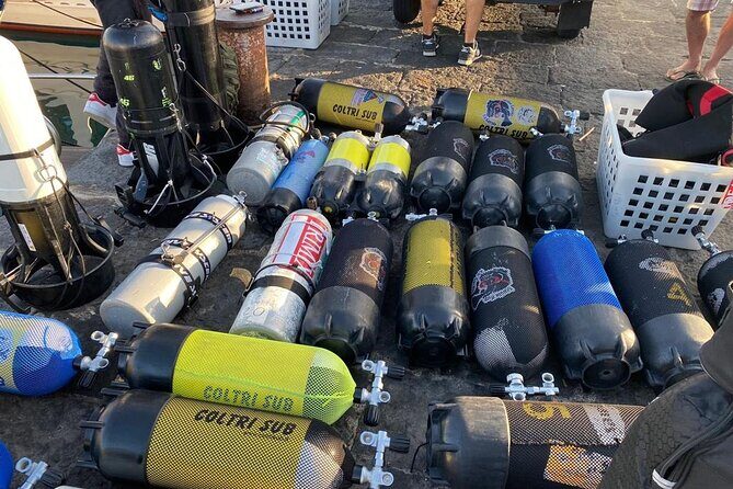 Scuba Diving Experience - Key Points