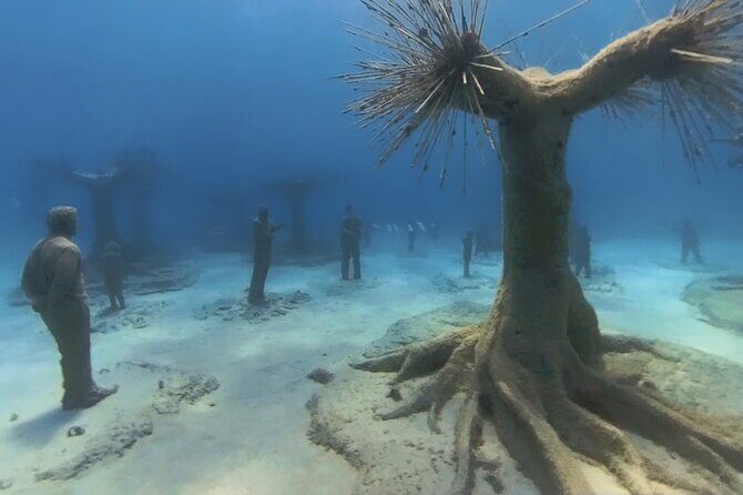 Scuba Diving Experience & MUSAN Dive + Free Edited Video 2xdives - Key Points