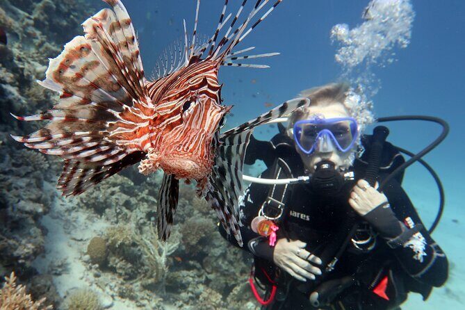 Scuba Diving Experience & MUSAN Dive + Free Edited Video 2xdives - The Sum Up