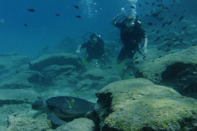 SCUBA DIVING first time experience - Authentic Experiences and Reviews