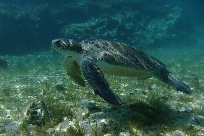 SCUBA DIVING first time experience - FAQ