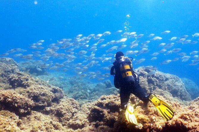 Scuba Diving for Beginner and Experts in Pefkos Lindos - Key Points