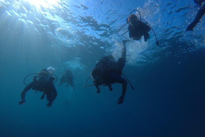 Scuba Diving For Beginners - The Itinerary in Detail