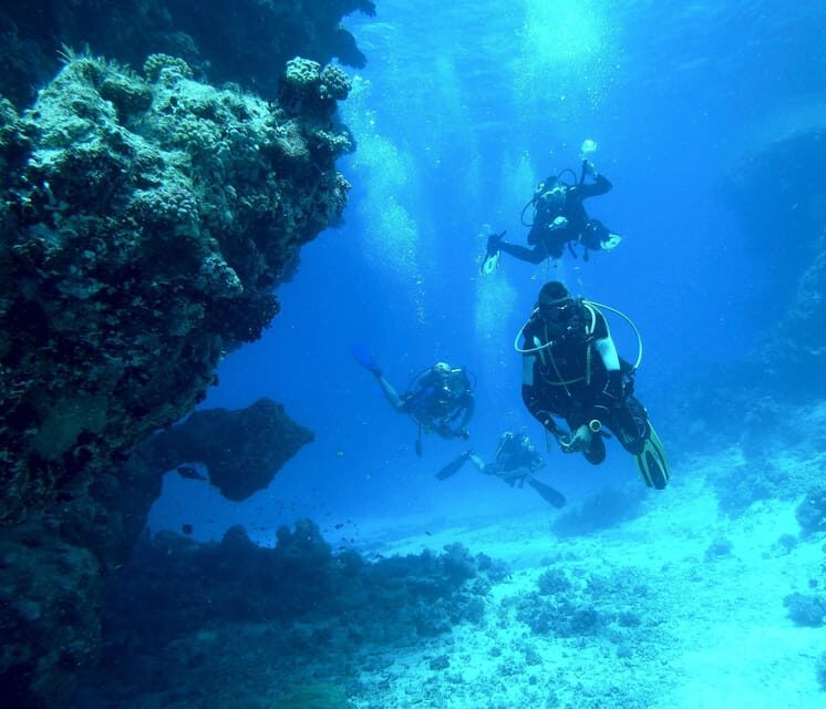 Scuba diving for beginners in crystal clear sea of Halkidiki - Authentic Insights from Reviewers