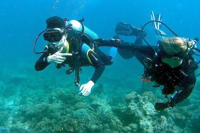 Scuba Diving for Beginners in Pula - What to Expect from the Tour in Pula