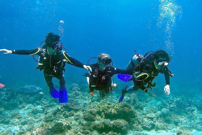 Scuba Diving for Beginners in Pula - The Sum Up