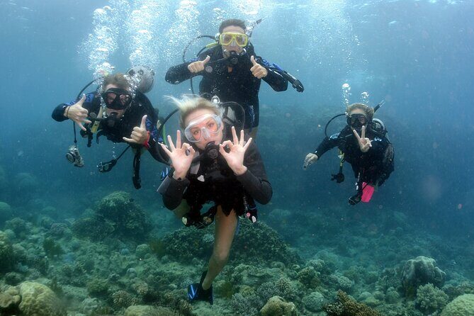 Scuba Diving in Antalya from Antalya & Kemer - What Real Guests Say