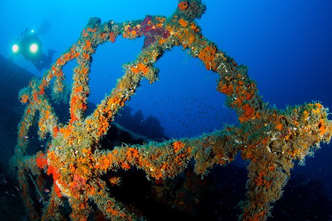 Scuba diving in Calabria, Italy - Authentic experiences from the reviews