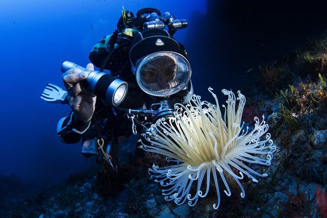 Scuba diving in Calabria, Italy - Frequently Asked Questions