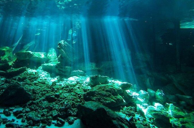 Scuba Diving in Cenote Dos Ojos from Playa del Carmen - Who Should Book This Tour?