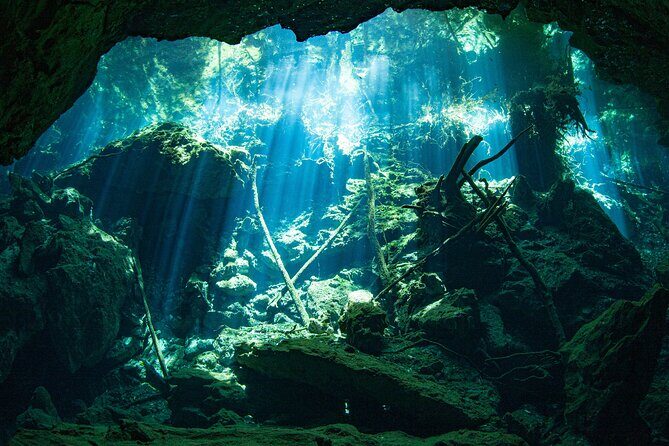 Scuba Diving in Cenote Kukulkan from Playa del Carmen - Authentic Experiences from Reviewers