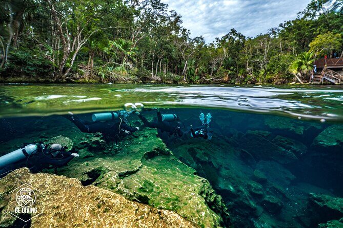 Scuba Diving in Cenotes - Who Will Love This Tour?