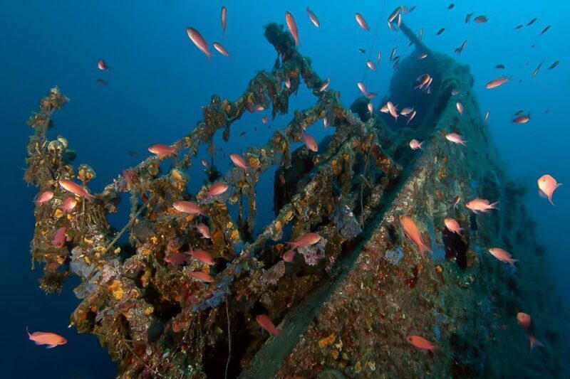 Scuba Diving in Dubrovnik: 1 Dive for Certified Divers - Why Choose This Dubrovnik Diving Experience?