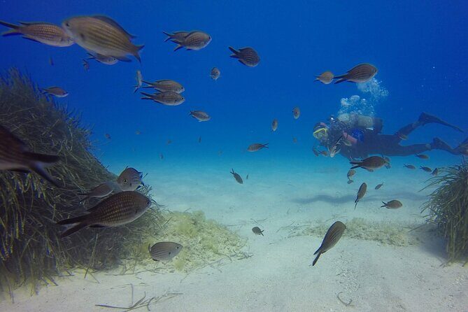 Scuba Diving in MIG-21 wreck - Key Points  