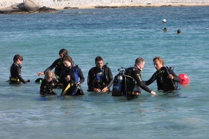 Scuba Diving in Naxos by Bluefindivers - Dive in Greece - Amazing Diving Spots - The Experience at a Glance: What to Expect from Bluefindivers in Naxos