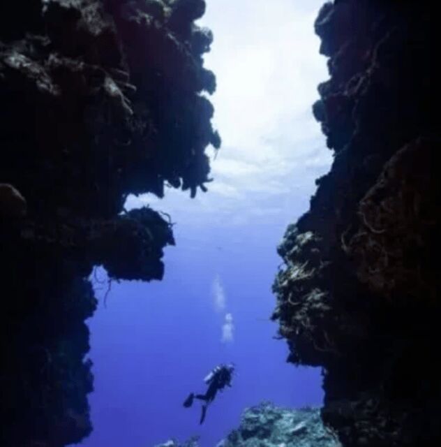 Scuba Diving Playa del Carmen: PADI Open Water Certification - Meeting Point and Logistics