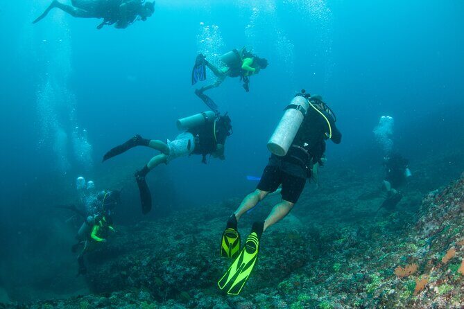 Scuba Diving Puerto Vallarta Undersea Arcos or Marietas - Practical Details: Timing, Group Size, and Value