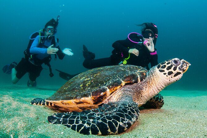 Scuba Diving Puerto Vallarta Undersea Arcos or Marietas - Frequently Asked Questions