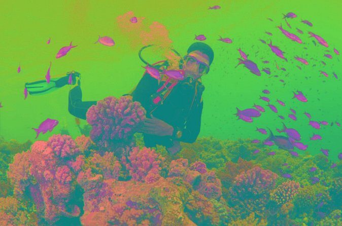 Scuba Diving Tour - FAQ